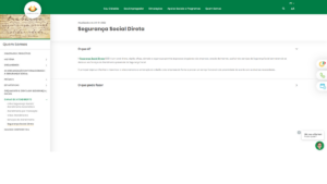 Guia da Segurança Social Direta: o que é, como entrar e consultar ...